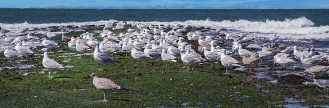 Noordzee