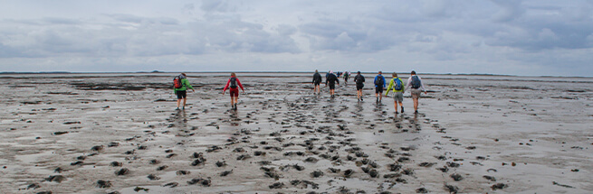 Wadlopen