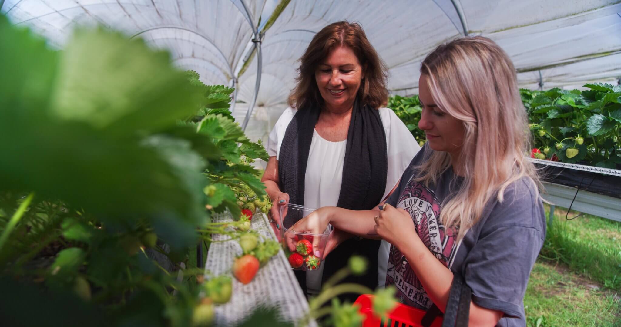 Voedselbos Texel - Texelinformatie.nl
