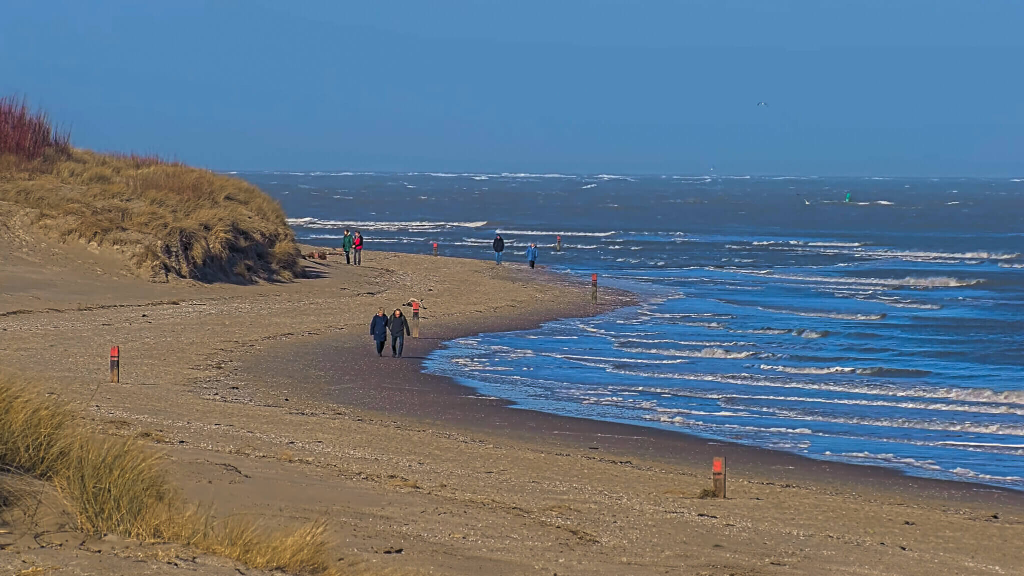 Webcams Texel - De mooiste live beelden van Texel