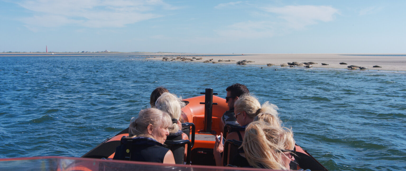 Ecomare zeehonden opvang en museum Texel - Texelinformatie