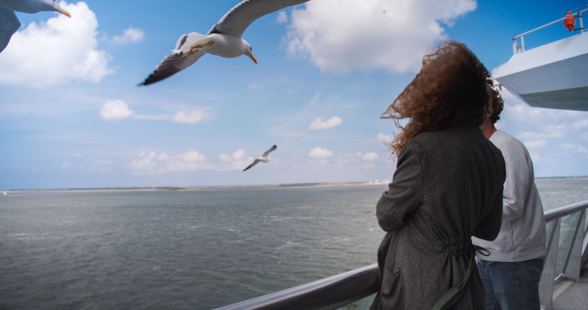 De Texelaar, Het Texels schaap. De mascotte van eiland Texel